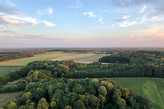 Parc naturel régional de la Forêt d'Orient - Aube en Champagne