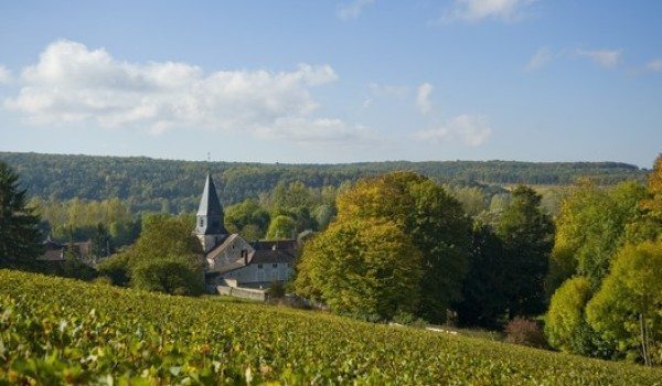 Visit the Côte des Bar and its Champagne route - Aube Champagne