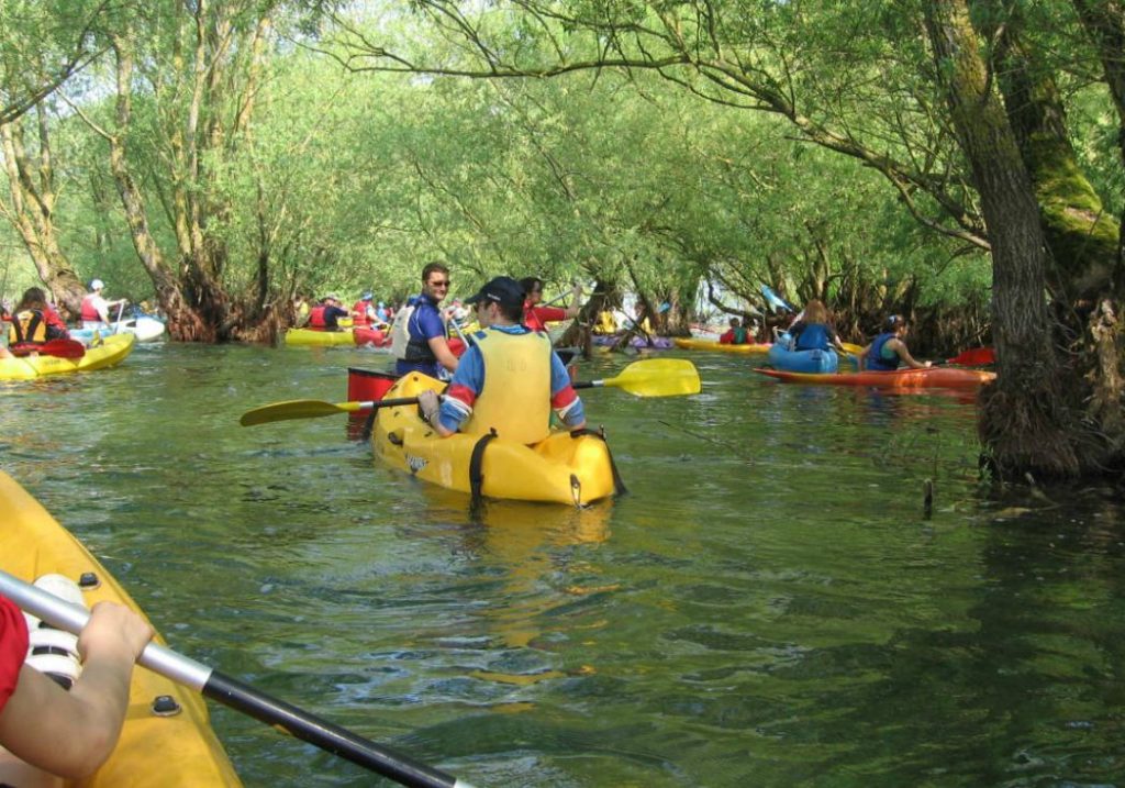 Activités sportives sur les Grands Lacs de la Forêt d'Orient