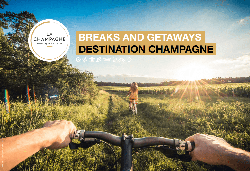 Professionals and groups in Champagne