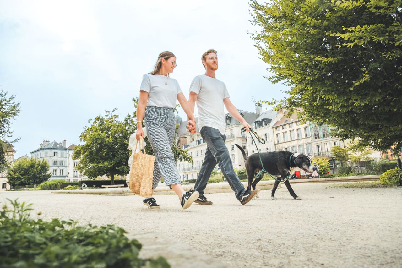 L'Aube, destination dog-friendly l- Aube en Champagne